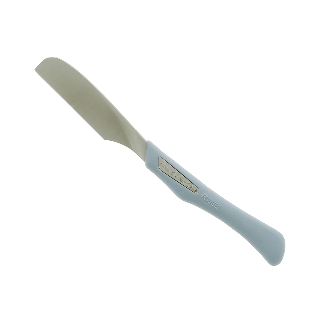 Feather Artist Club DX Maintenance-Free Japanese-Style Razor — Fendrihan